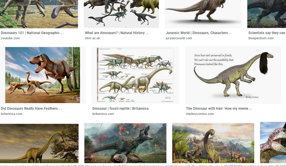 Year 3 Presentations | Computing Owls