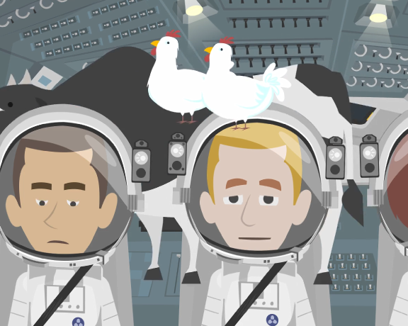 Year 2 | Computing Owls